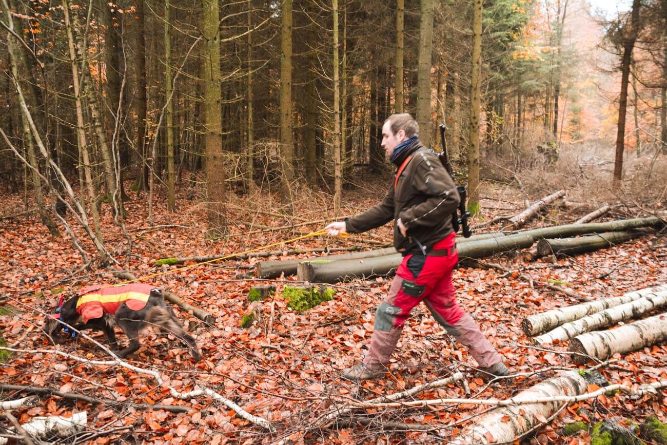 Berufsjäger und Revierjagdmeister - Jagdschule v. Fürstenberg